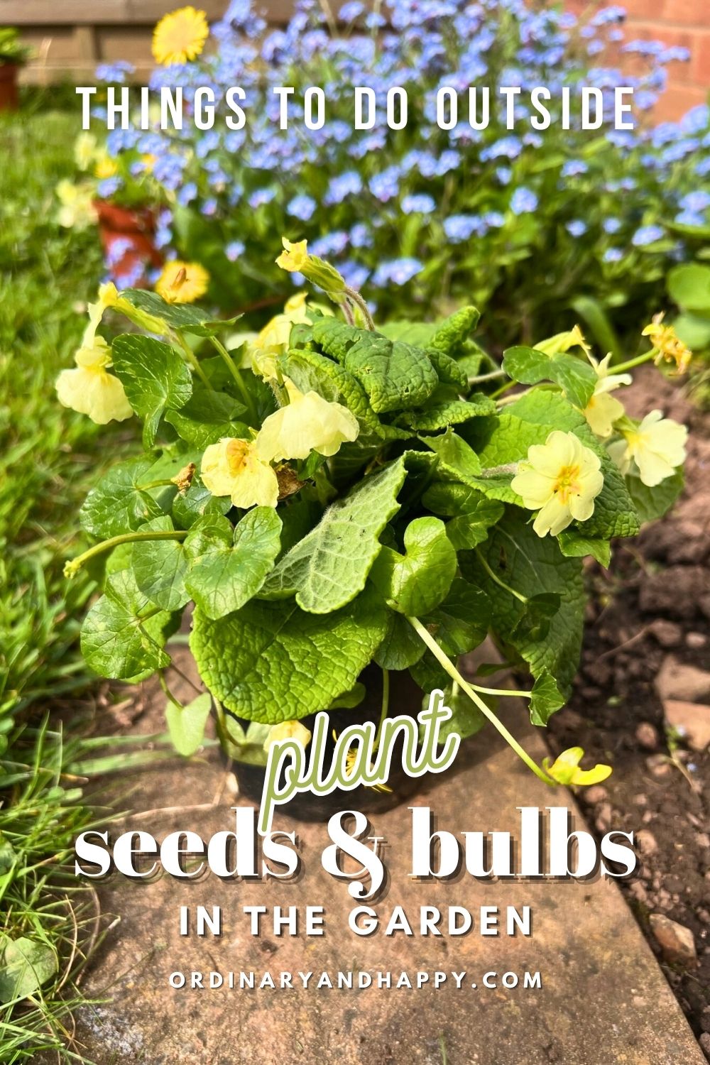 Things to Do Outside: 60 Fun Ideas to Enjoy the Great Outdoors ...