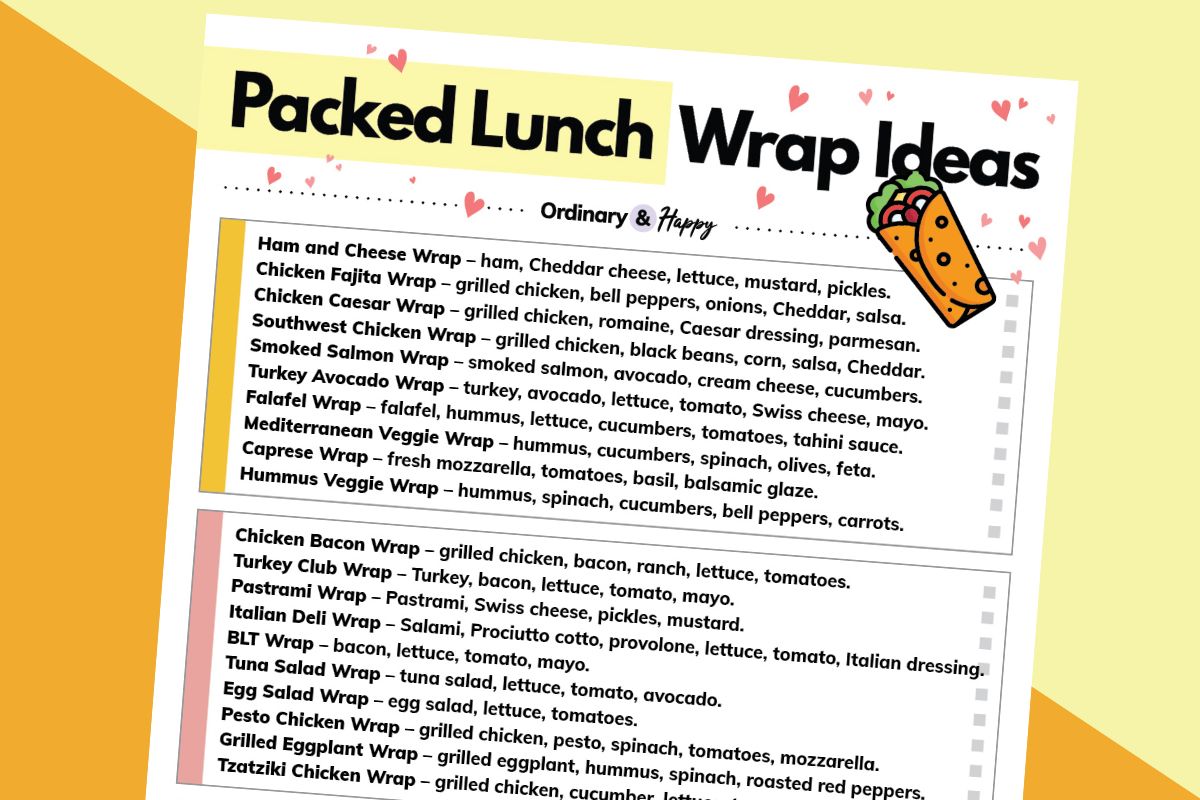 Packed Lunch Wrap Ideas (Great for Busy Families) - Ordinary and Happy